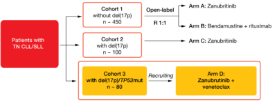 Determining first-line CLL/SLL treatment strategies with optimized ...