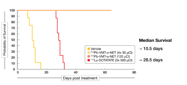 SSTR-positive neuroendocrine tumors: peptide receptor radionuclide ...