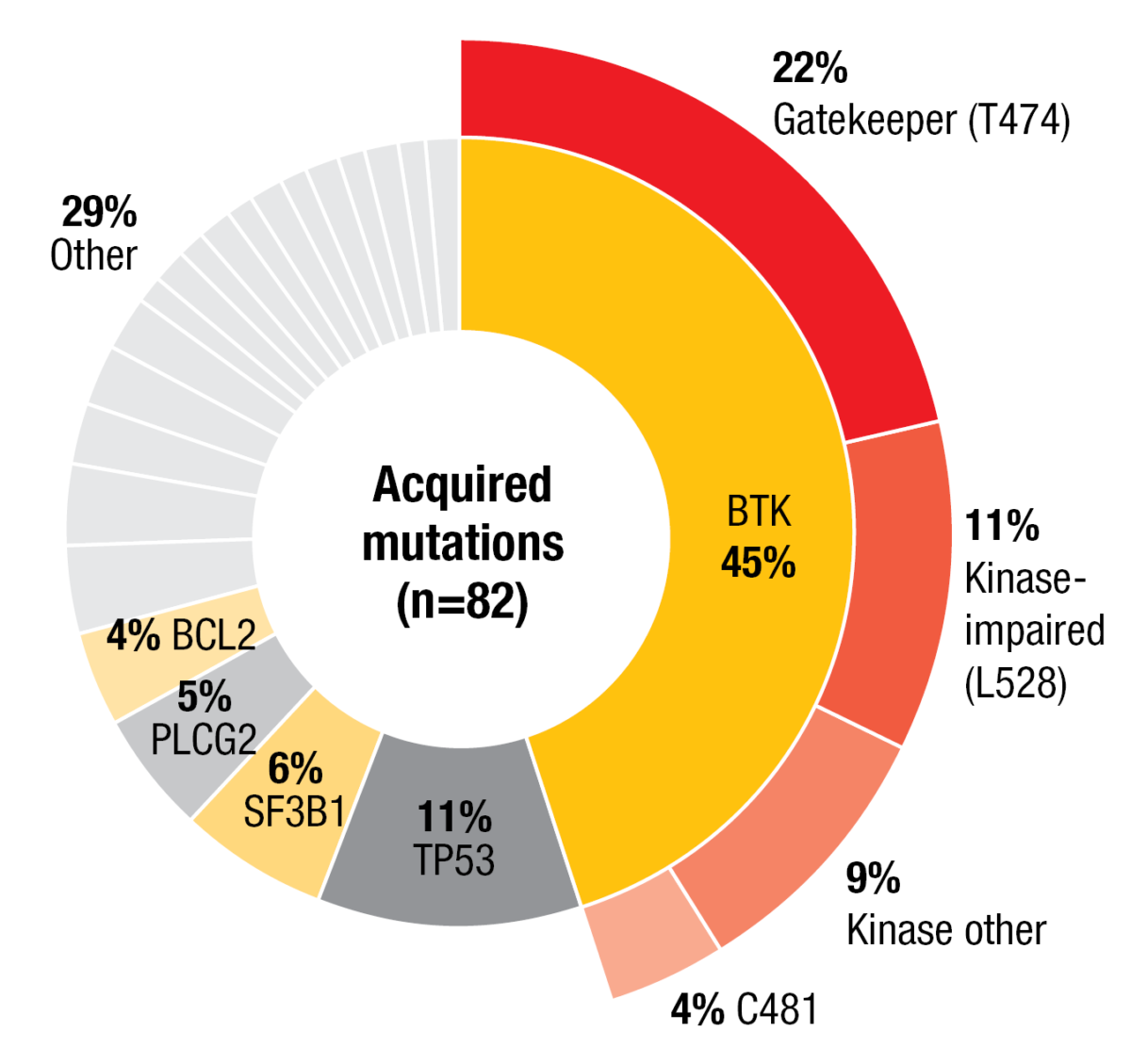Current insights into BTK inhibition and other targeted approaches in ...